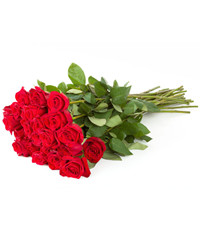 Send Roses in Peru | Roses delivery in Peru online | Cyber-Florist.com